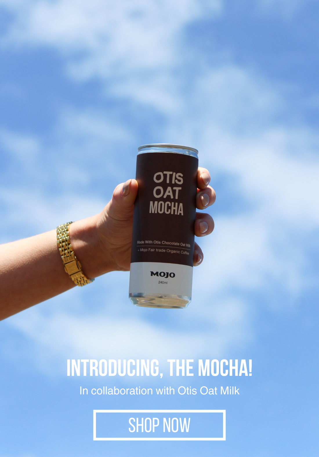 Mojo Coffee Roasters - Buy coffee & coffee accessories online