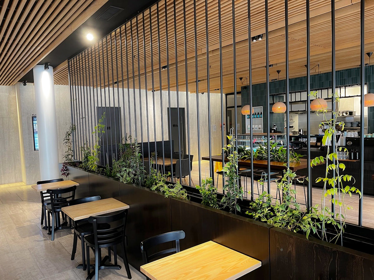 Mojo Cashel - Christchurch – Mojo Coffee