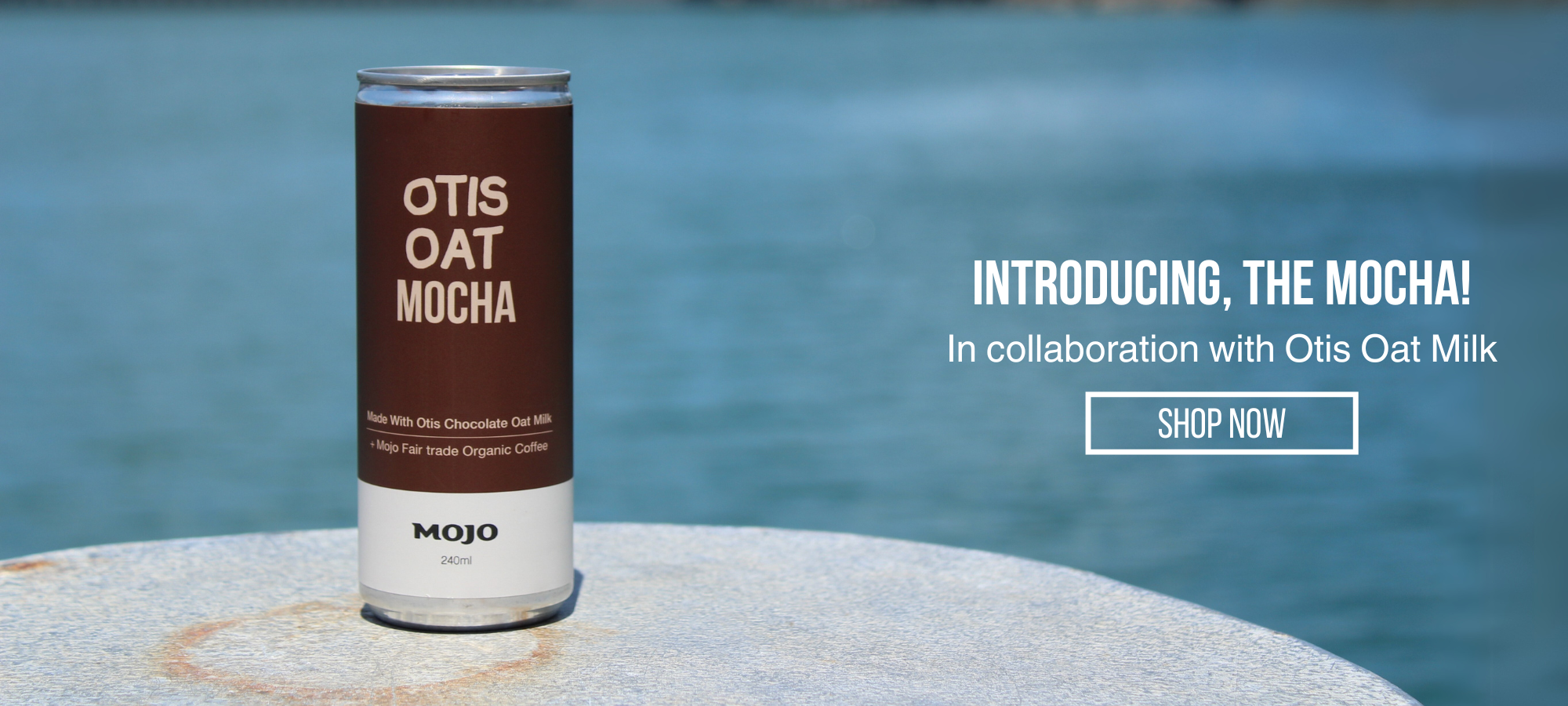 Mojo Coffee Roasters - Buy coffee & coffee accessories online